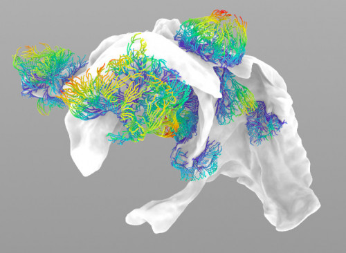 Tree With Bark Structure Procegen Procedural Content Generation
